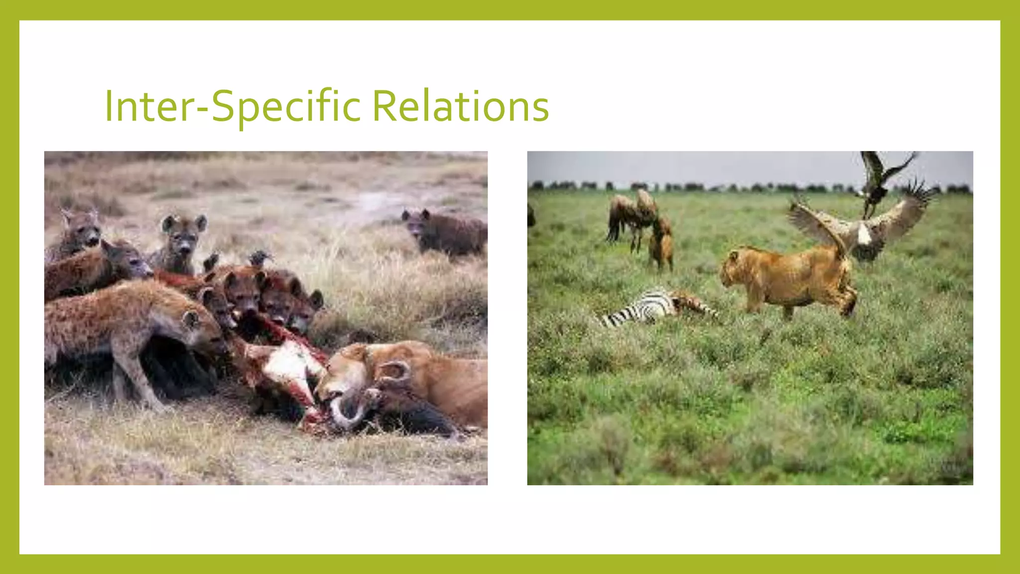 Symbiotic relationship revised.pptx