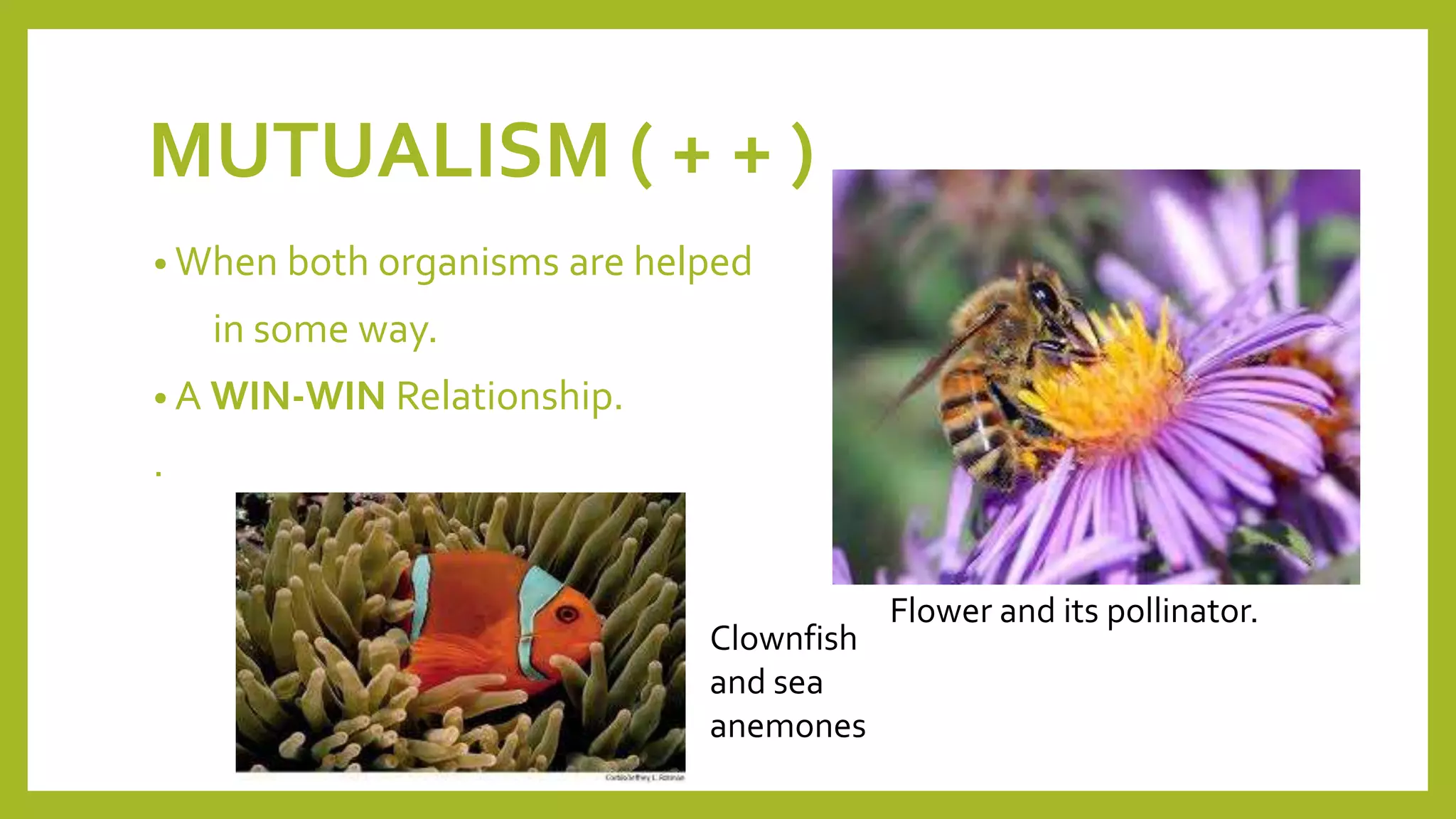 Symbiotic relationship revised.pptx