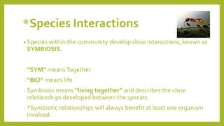 Symbiotic relationship revised.pptx