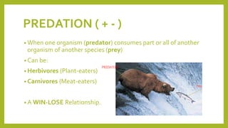 Symbiotic relationship revised.pptx