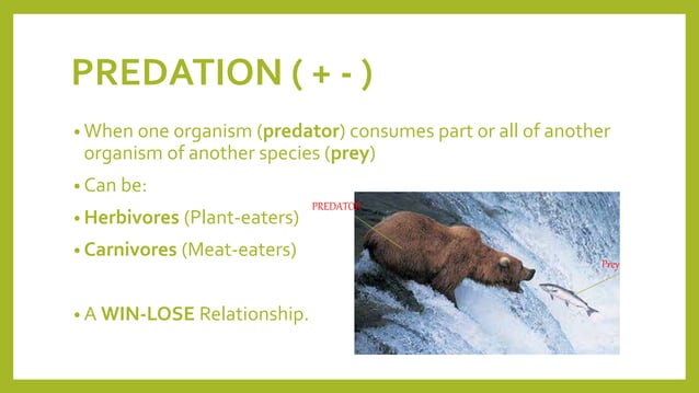 Symbiotic relationship revised.pptx