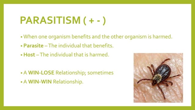 Symbiotic relationship revised.pptx