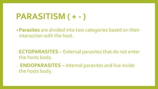 Symbiotic relationship revised.pptx