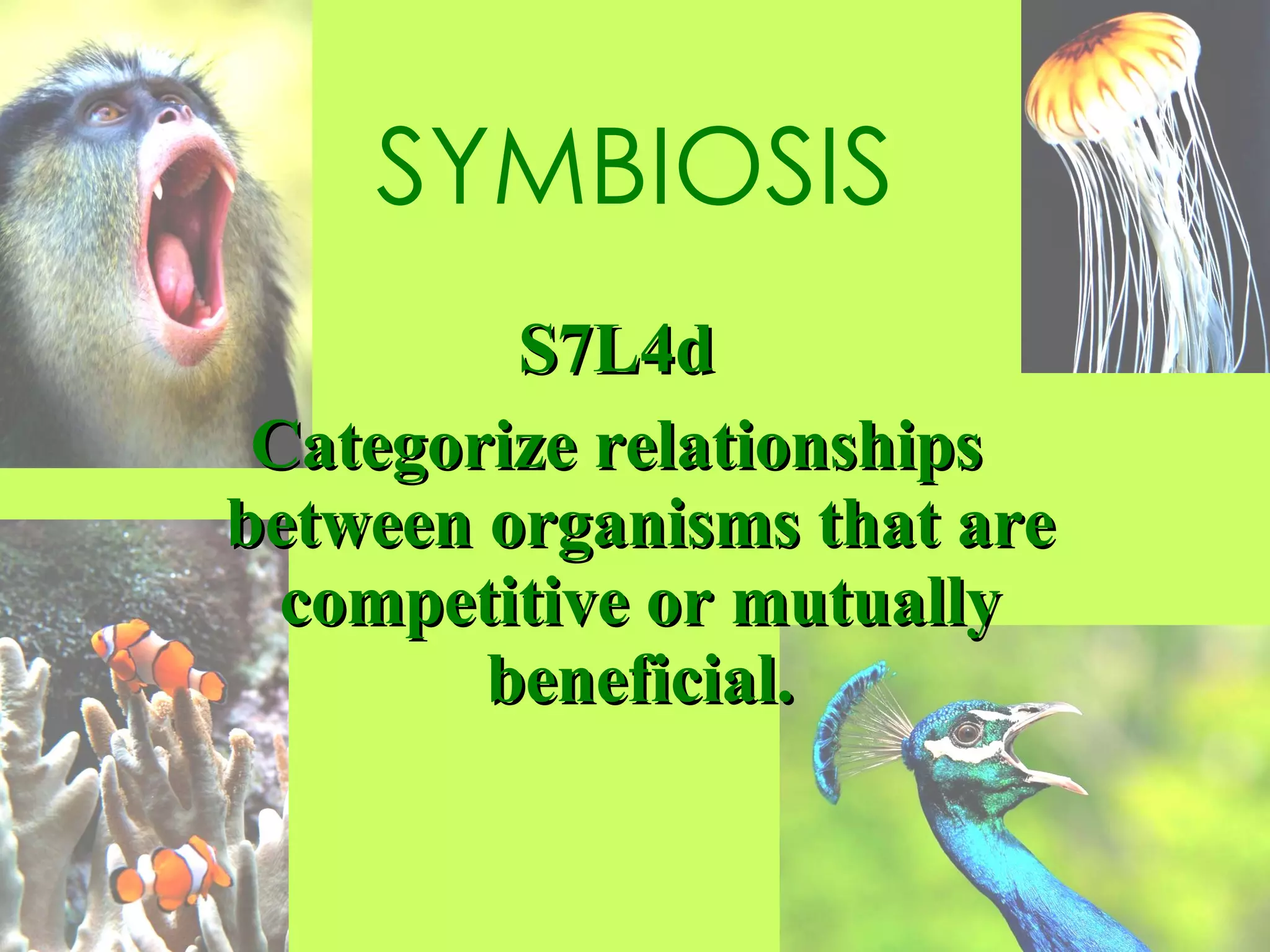 Symbiotic relationships ch18, sxn3 part 2 qw | PPT