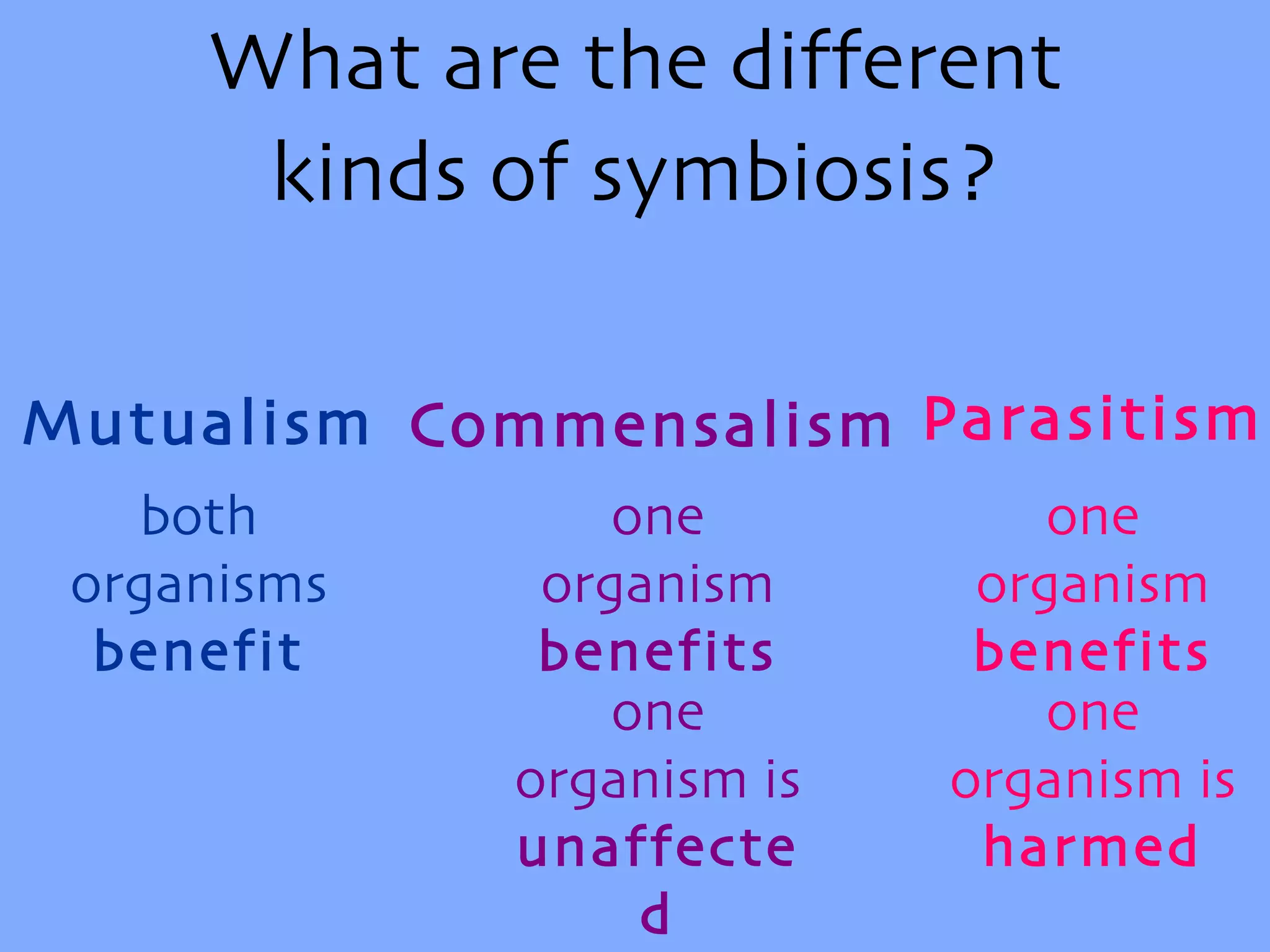 Symbiotic relationships ch18, sxn3 part 2 qw | PPT