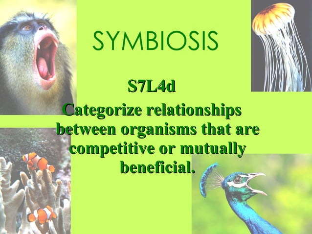 Symbiotic relationships ch18, sxn3 part 2 qw | PPT