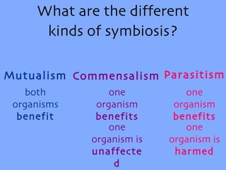 Symbiotic relationships ch18, sxn3 part 2 qw | PPT