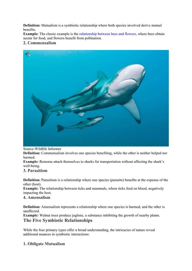 Exploring 5 Examples of Symbiotic Relationships | The Lifesciences ...