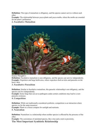 Exploring 5 Examples of Symbiotic Relationships | The Lifesciences Magazine | PDF