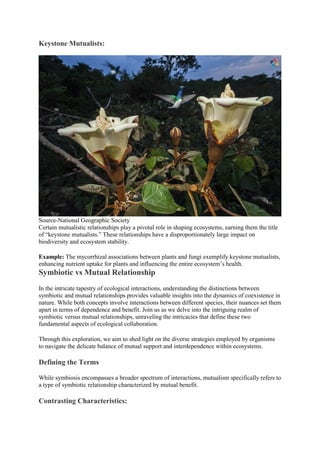 Exploring 5 Examples of Symbiotic Relationships | The Lifesciences ...