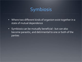 The Symbiotic Web | PPT