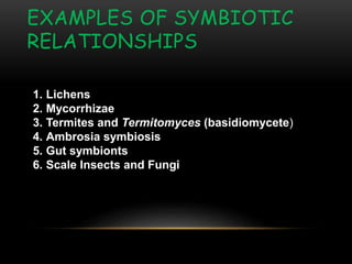 Symbiotrophes | PPTX