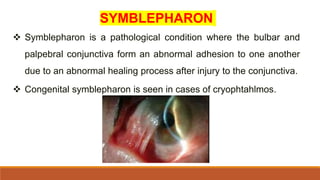 symblephoron types etiology management.pptx