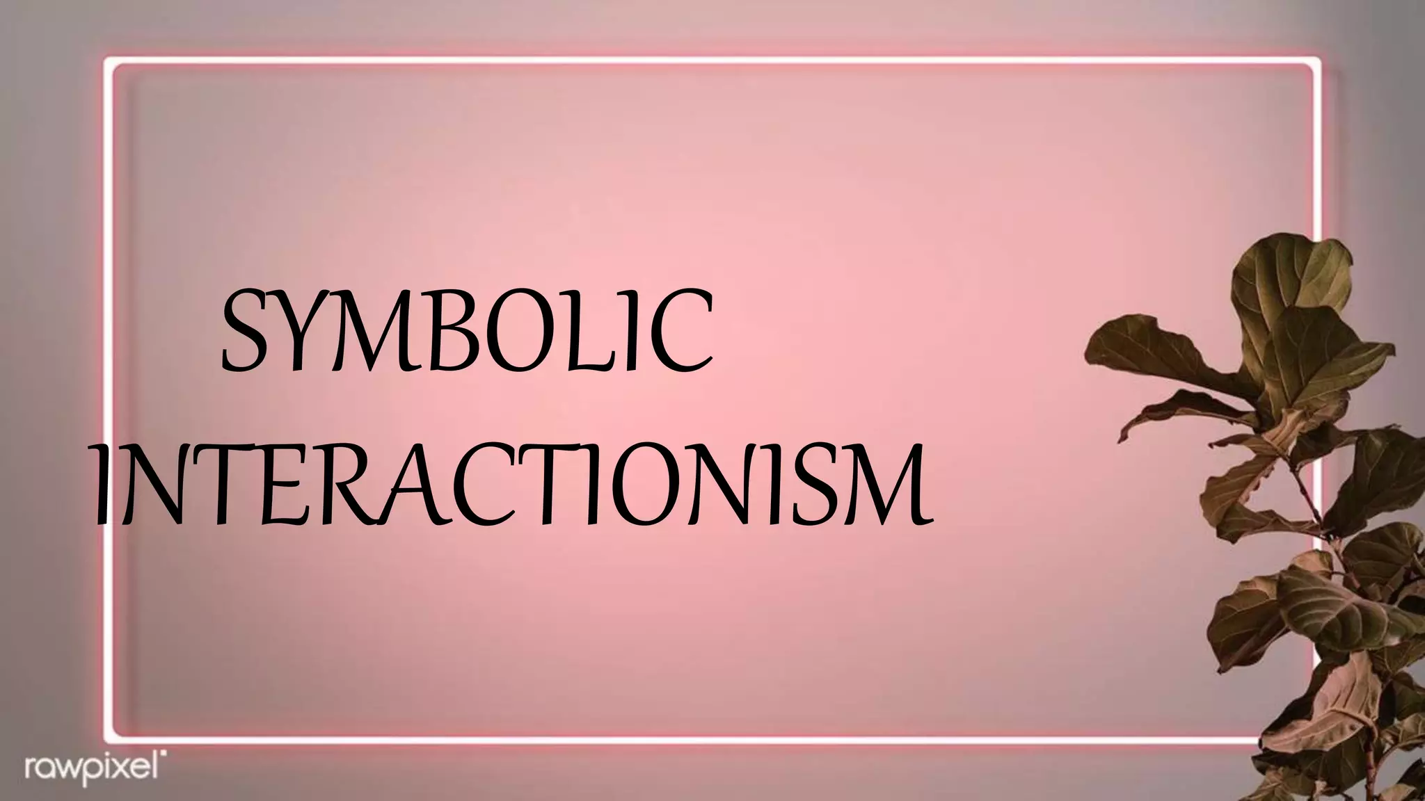 Symbolic-Interactionism.pptx