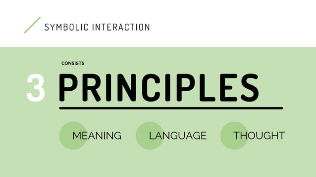 symbolic interactionism theory | PDF