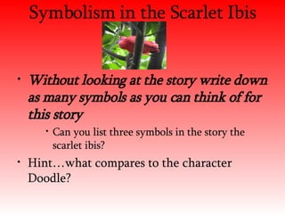 Symbolism Scarlet Ibis | PPT