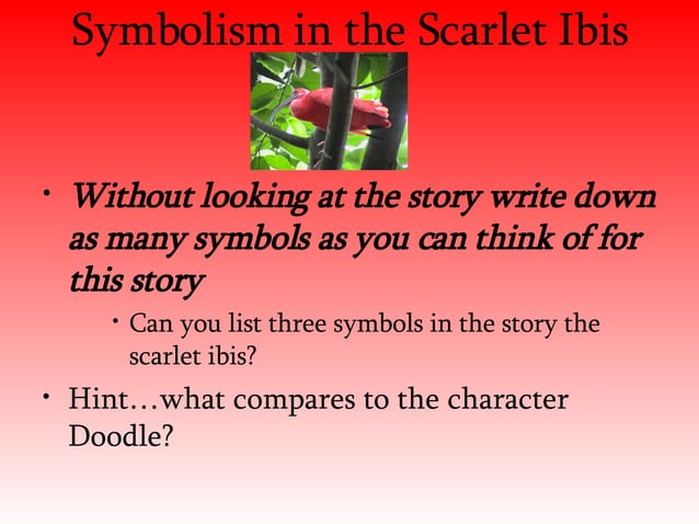Symbolism Scarlet Ibis | PPT