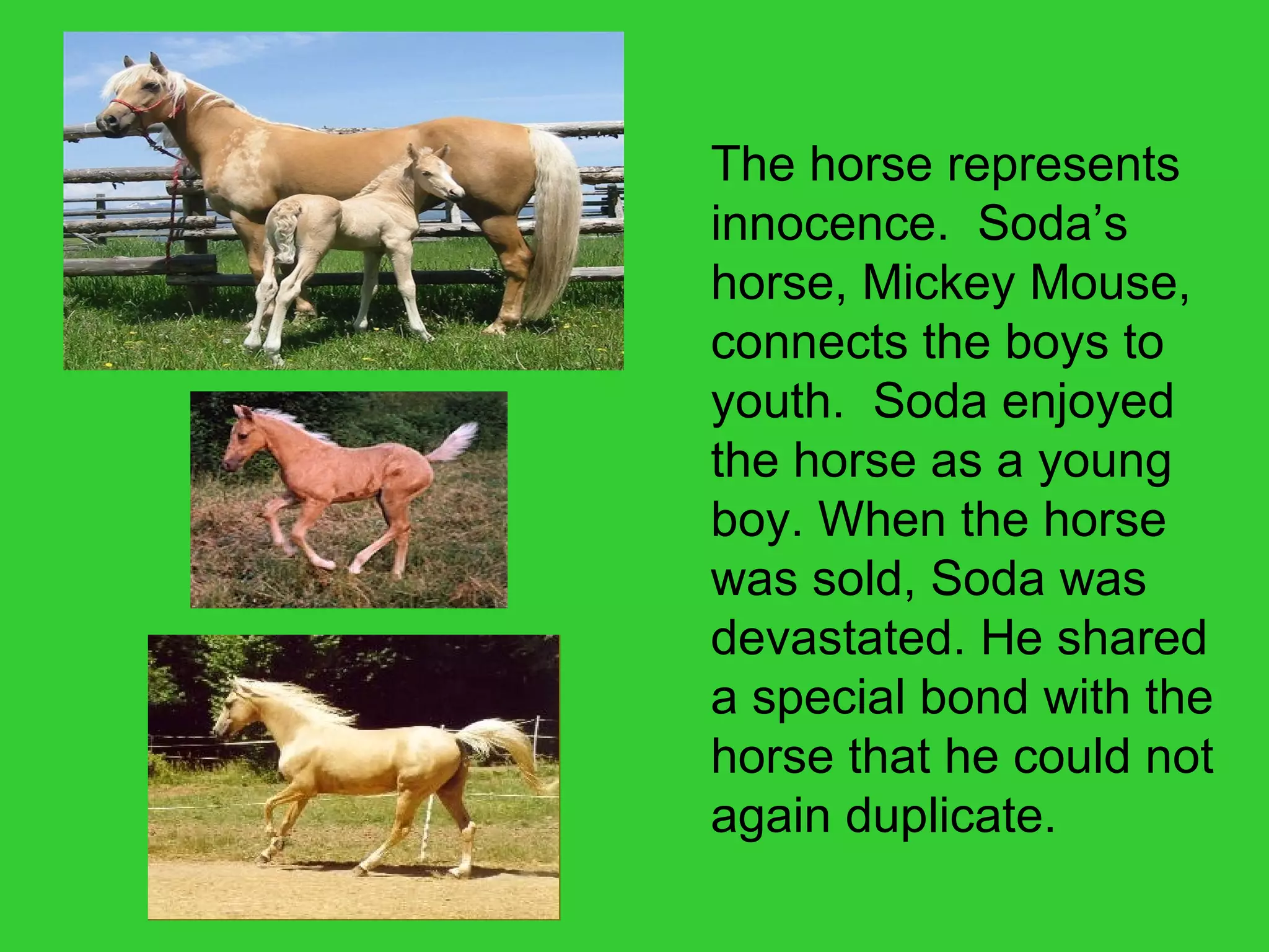 Symbolism in the outsiders for bookmark activity final | PPT