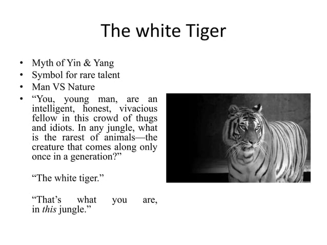 Symbolism in white tiger | PPTX | Hinduism | Religion & Spirituality