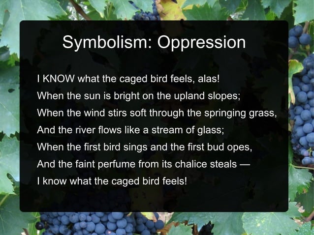 Symbolism: Symbols of Oppression | PPT