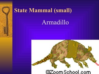 Texas Symbols - LaRocque | PPT