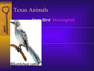 Texas Symbols - LaRocque | PPT