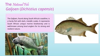 Symbols-of-South-Africa different national symbols | PPTX