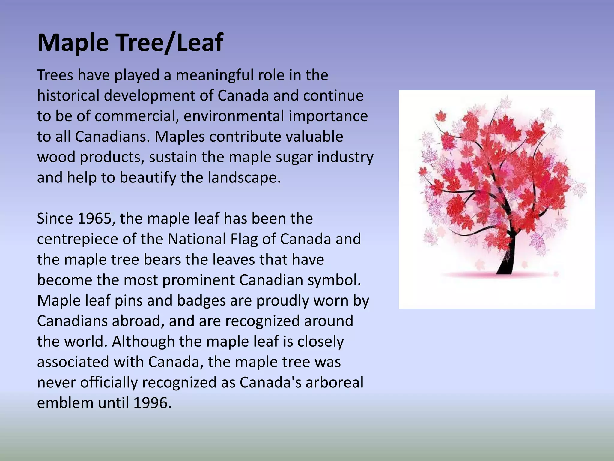 Symbols of the canadian government | PPTX