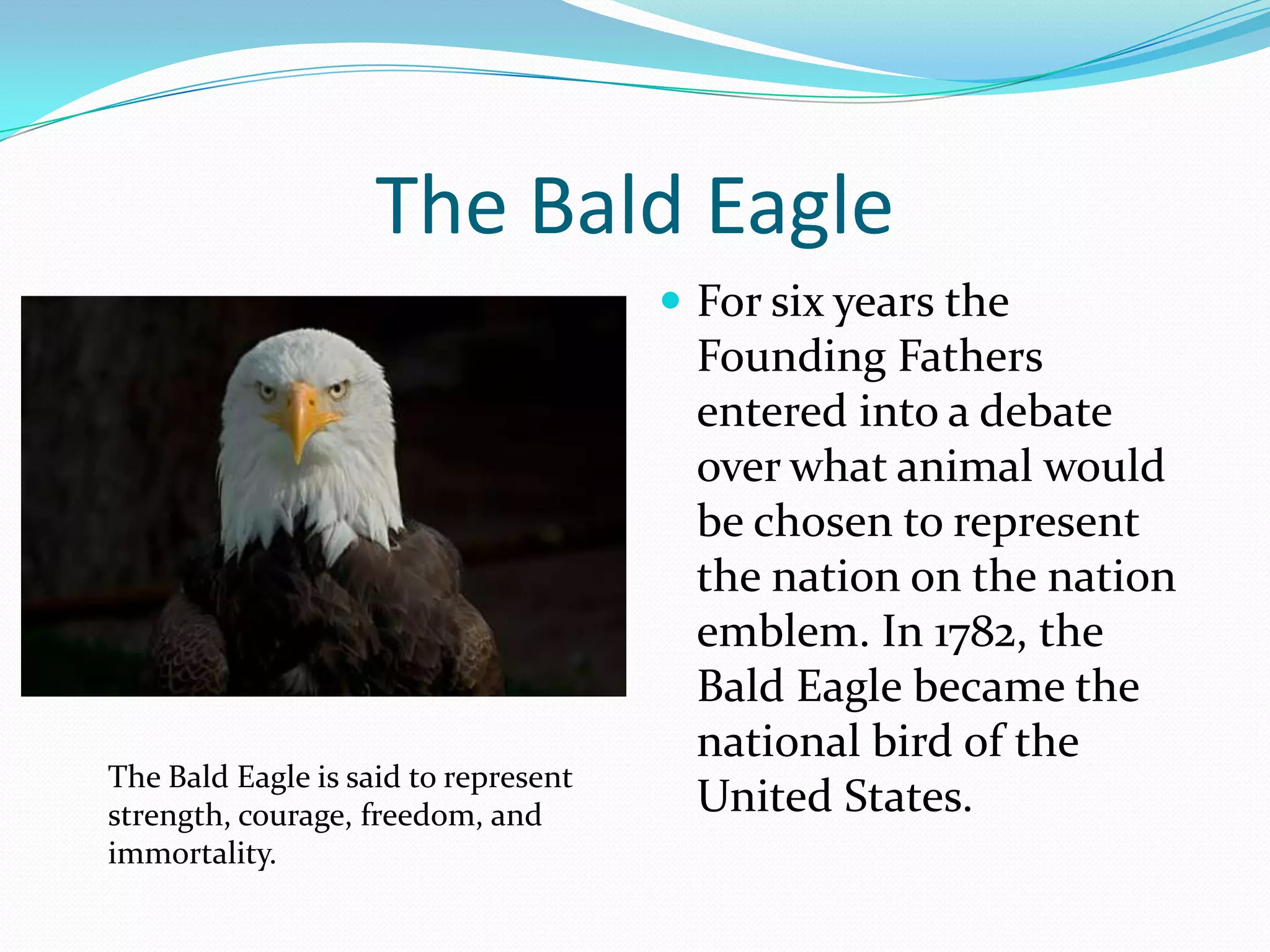 Symbols of the United States | PPTX