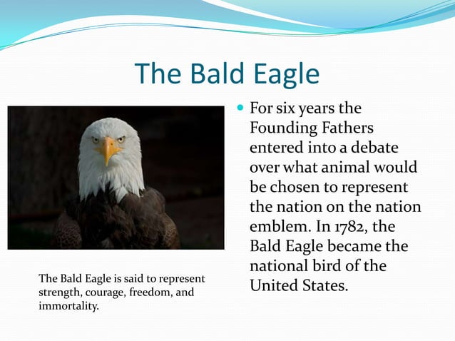 Symbols of the United States | PPTX
