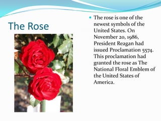 Symbols of the United States | PPTX