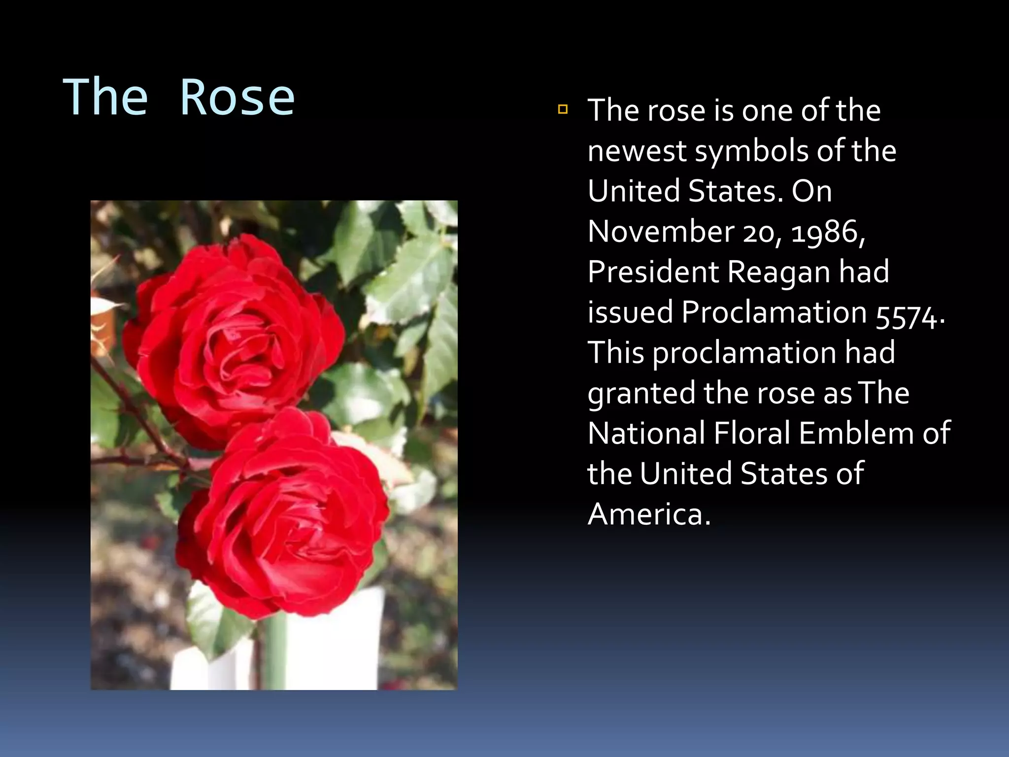 Symbols of the United States of America | PPTX | Historic Site and ...