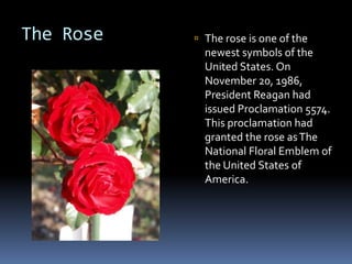 Symbols of the United States of America | PPTX