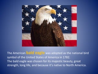 Symbols of the usa | PPSX