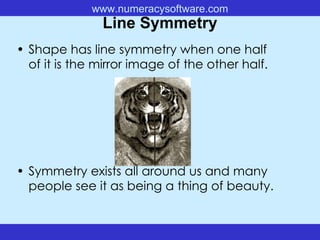 Symmetry | PPT