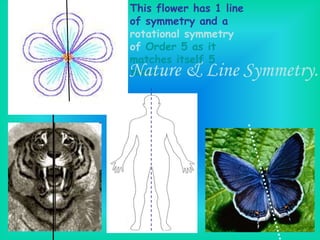 Rotational Symmetry In Nature