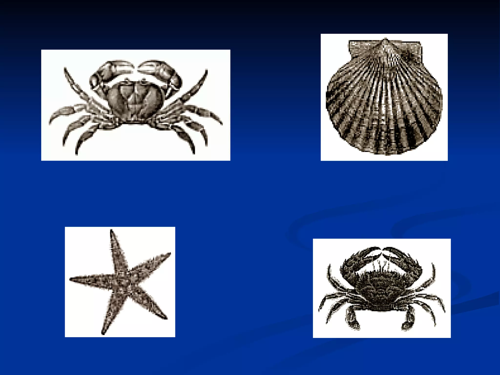 Symmetry Around Us | PPT