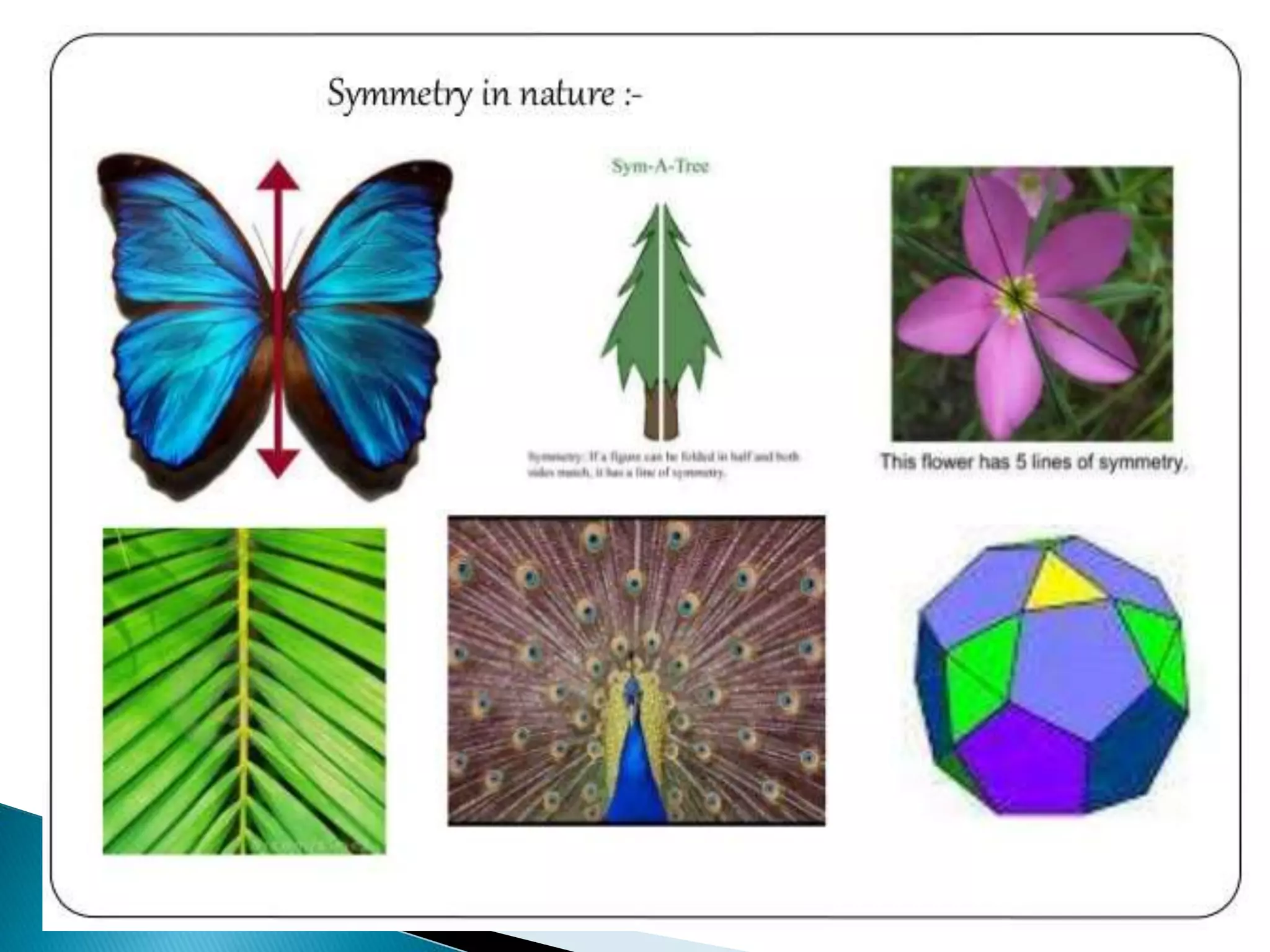 Symmetry and group theory | PPTX