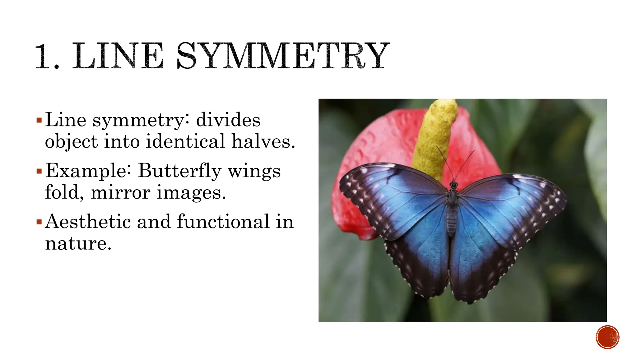 Symmetry and Surface Area.pptxpptxpptxpptx | PPTX