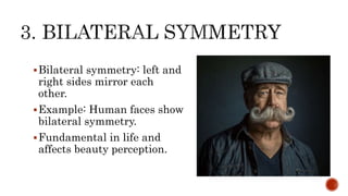 Symmetry and Surface Area.pptxpptxpptxpptx | PPT
