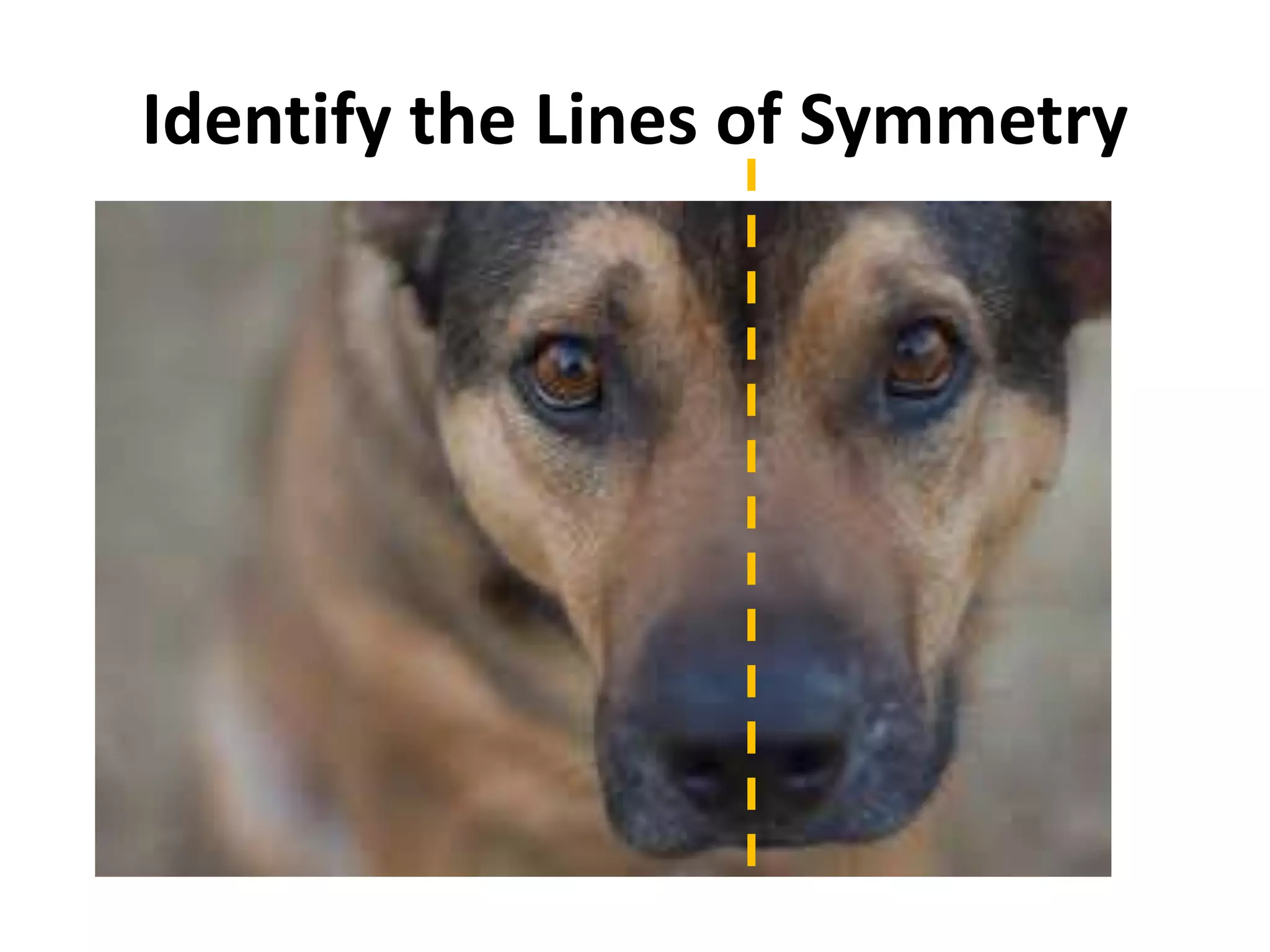 Symmetry: Lines, Reflection, Rotation | PPTX