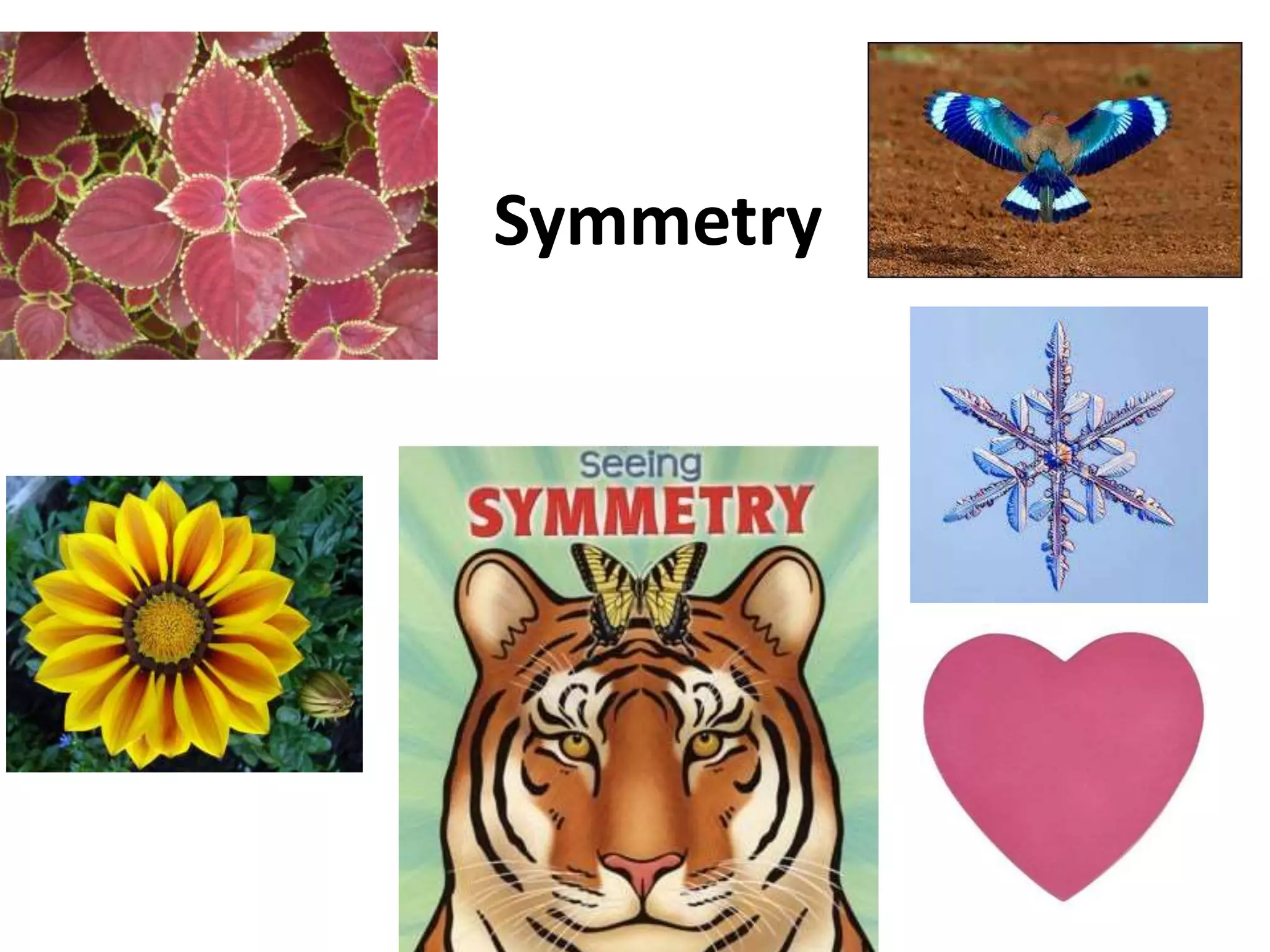 Symmetry: Lines, Reflection, Rotation | PPTX