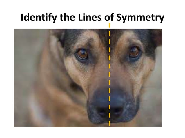 Symmetry Lines Reflection Rotation Pptx 8949