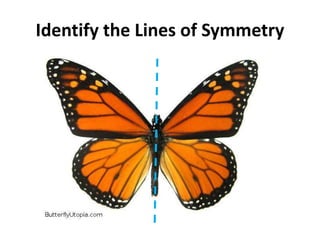 Symmetry: Lines, Reflection, Rotation | PPTX