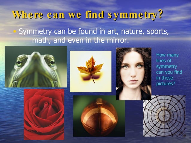 Symmetry In Math | PPT | Geography | Science
