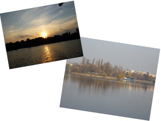 Symmetry in nature, architecture and art | PPT