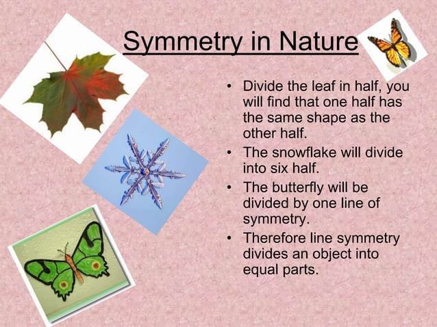 Symmetry Presentation By Manali | PPT