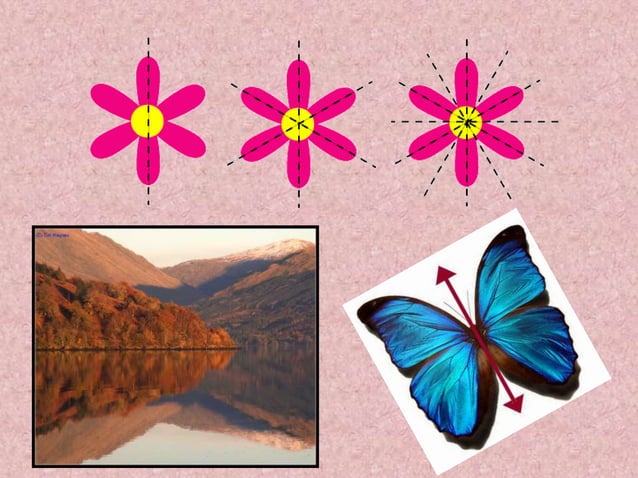 Symmetry Presentation By Manali | PPT