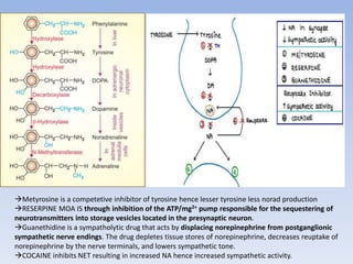 SYMPATHETIC NERVOUS SYSTEM | PPTX