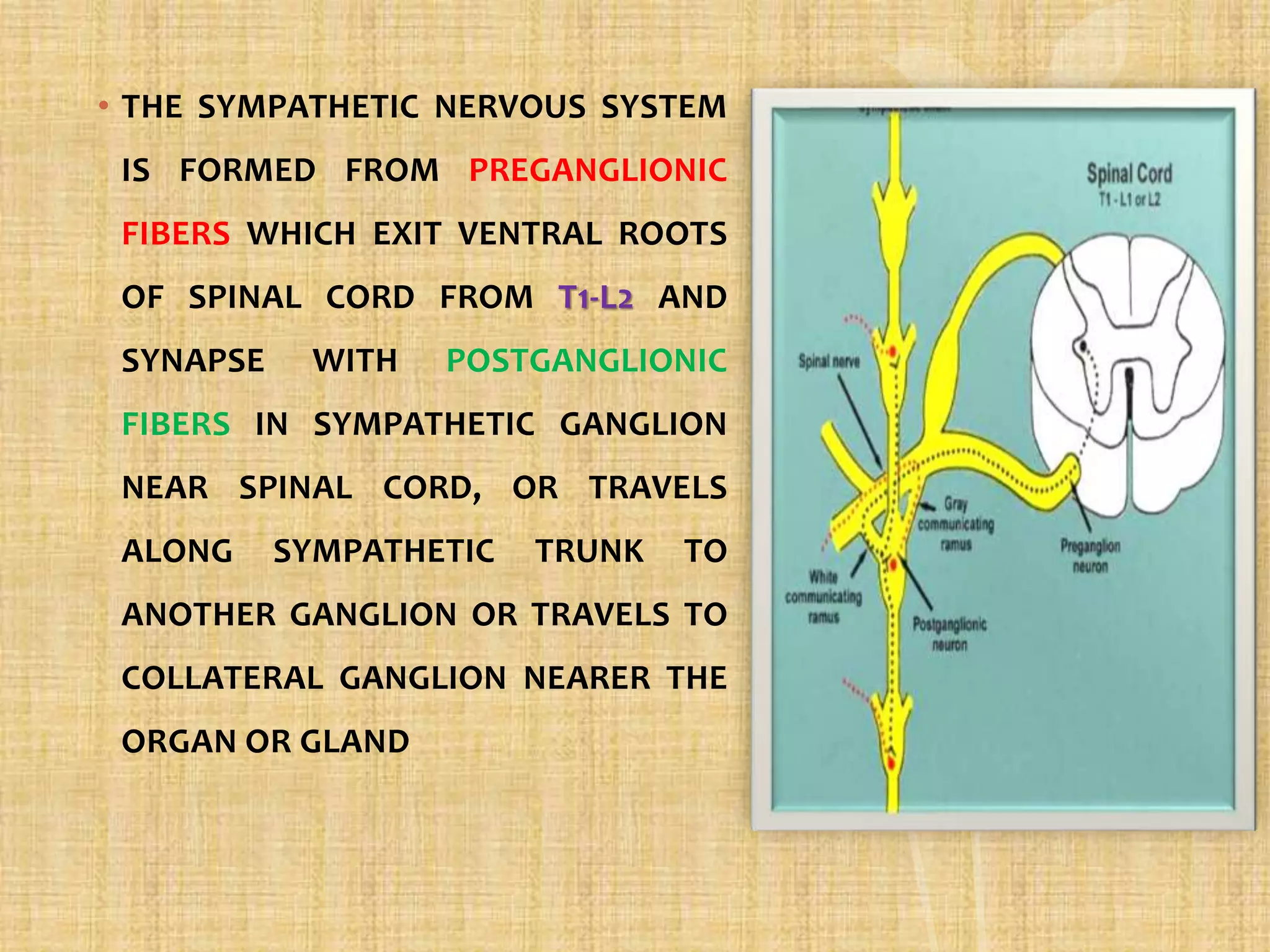 Sympathectomy | PPTX